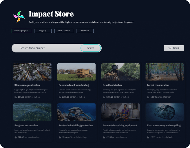 Pinwheel | next level impact